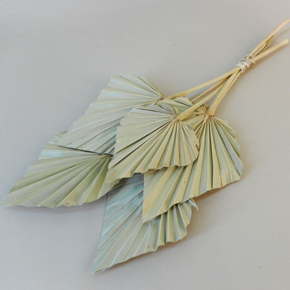 Dried Palm Spears - 5 Pack | Preserved Flowers and Foliage